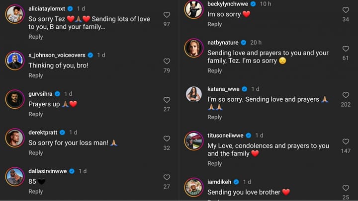 Becky Lynch, Natalya, and several other WWE stars react to ...