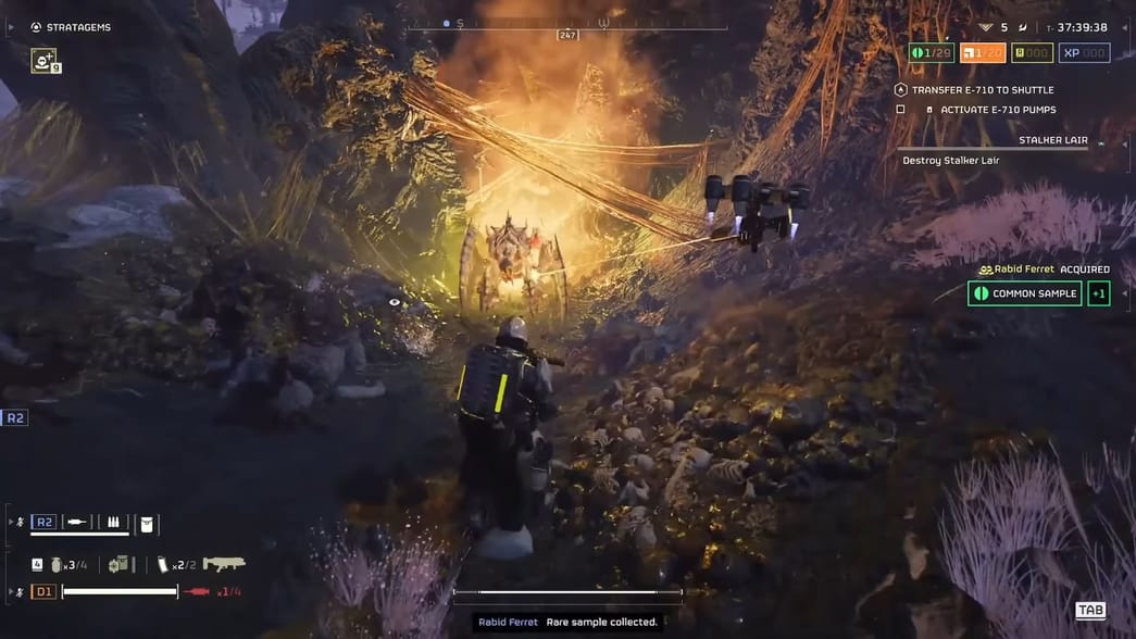 All Helldivers 2 Terminid enemy types ranked by difficulty