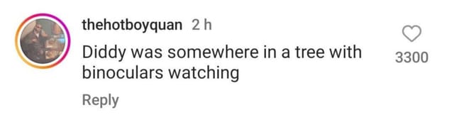 "Diddy was somewhere in a tree with binoculars watching": Netizens ...