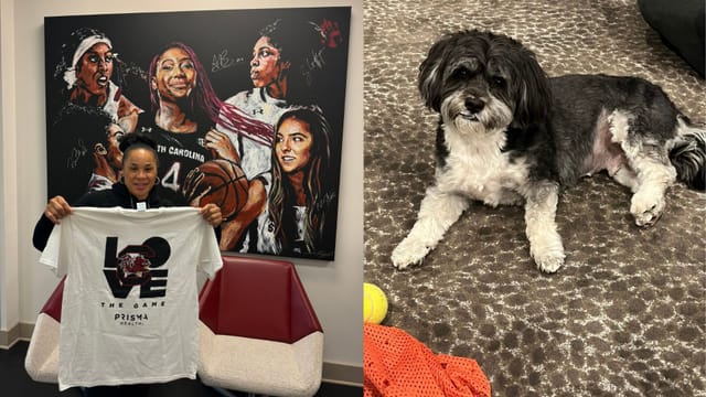 WATCH: South Carolina HC Dawn Staley's dog 'Champ' joins press ...