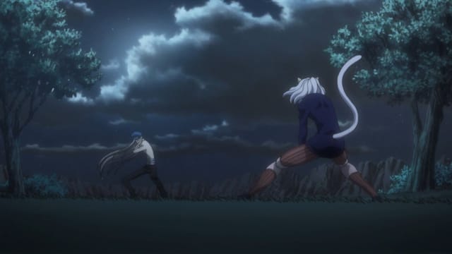 Did Kite die in Hunter x Hunter?