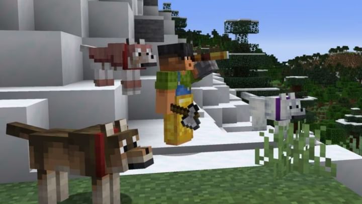 Minecraft announces eight new wolf variants for upcoming update