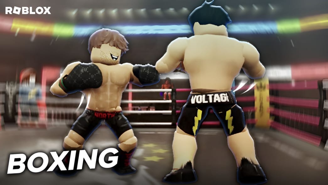 Boxing Beta codes (September 2025)