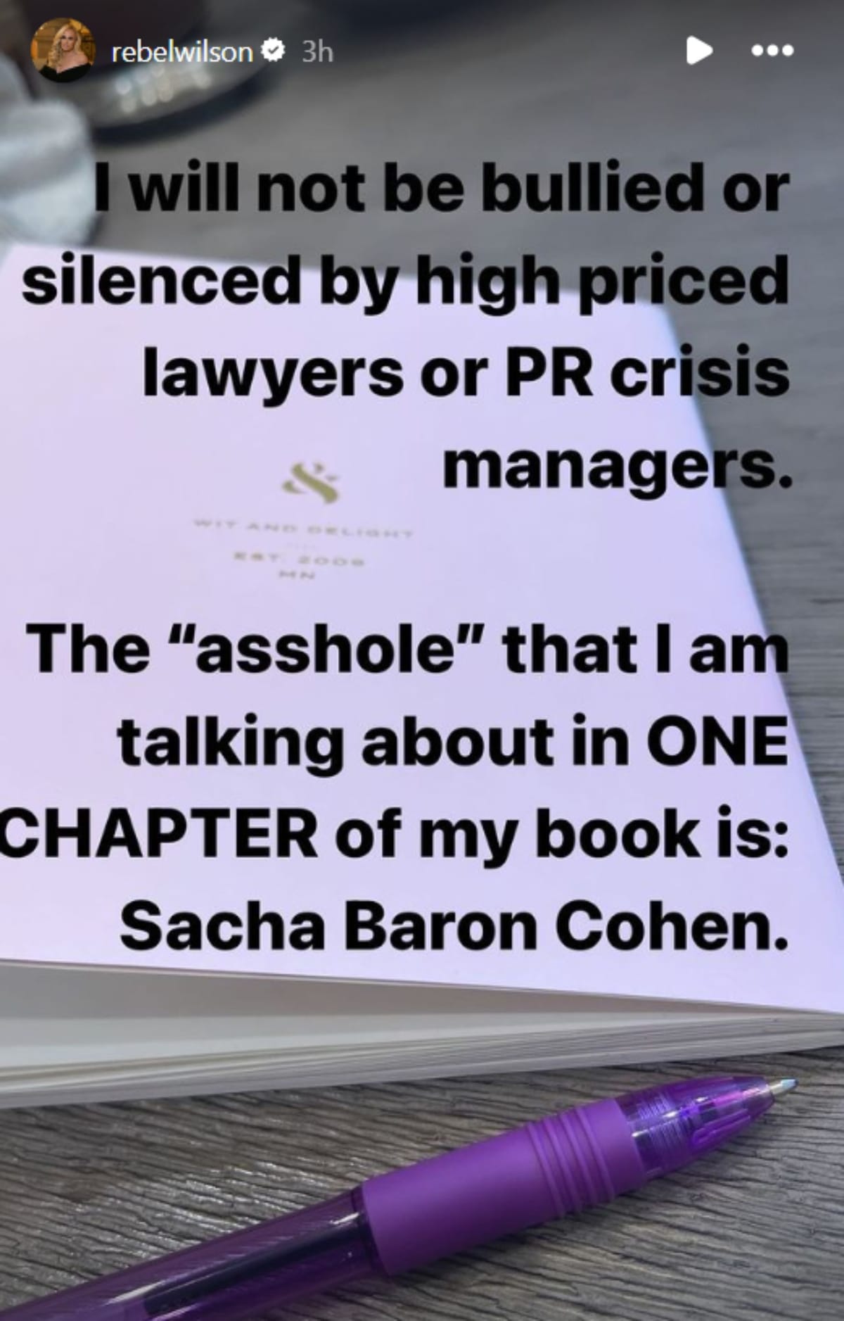 Which movie did Rebel Wilson and Sacha Baron Cohen act in together ...