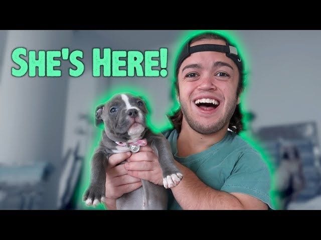 Evan Eckenrode's Profile, Net Worth, Age, Height, Relationships, FAQs