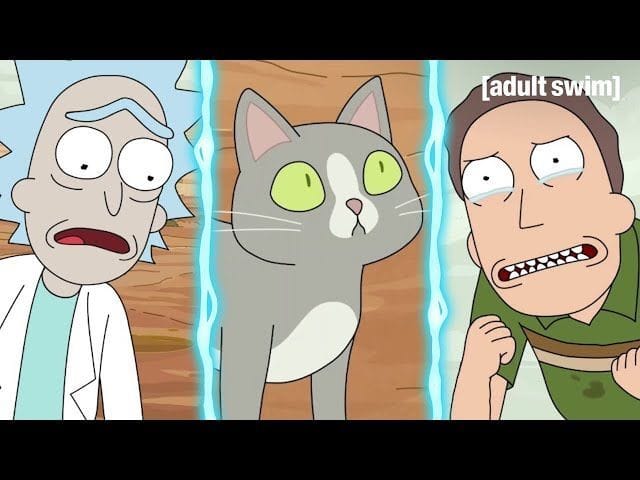 Why can the cat talk in Rick and Morty? Explained