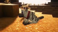 All Minecraft wolf variants and where to find them
