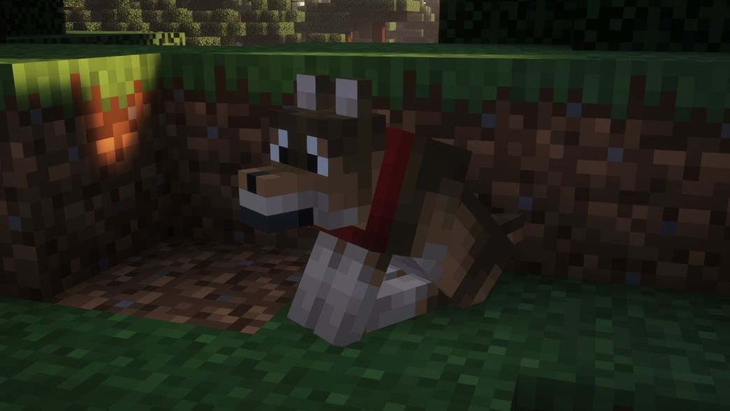 All Minecraft wolf variants and where to find them