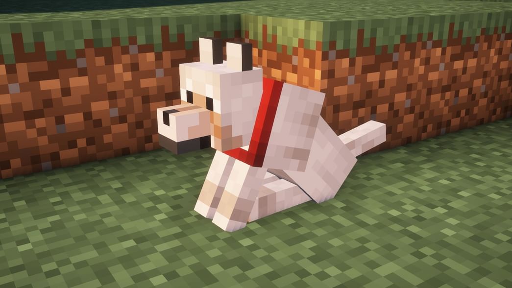 All Minecraft wolf variants and where to find them