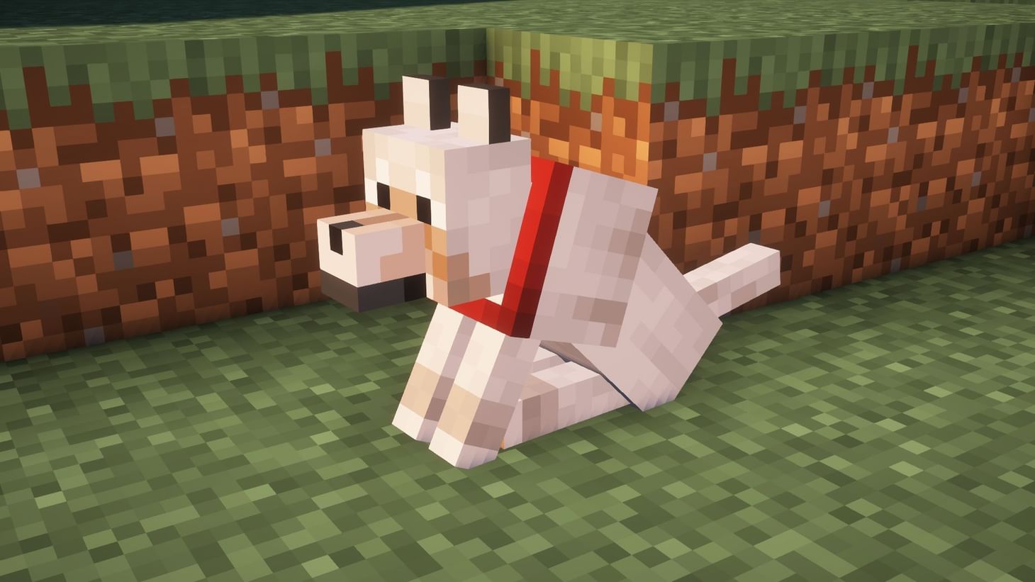 All Minecraft wolf variants and where to find them
