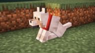 All Minecraft wolf variants and where to find them