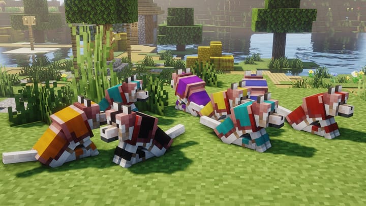 Which wolf variant is the rarest in Minecraft