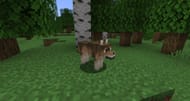 All Minecraft wolf variants coming in 1.20.5 update