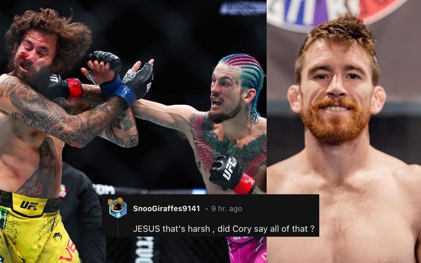"All I see are true statements" - Fans react after Cory Sandhagen ...