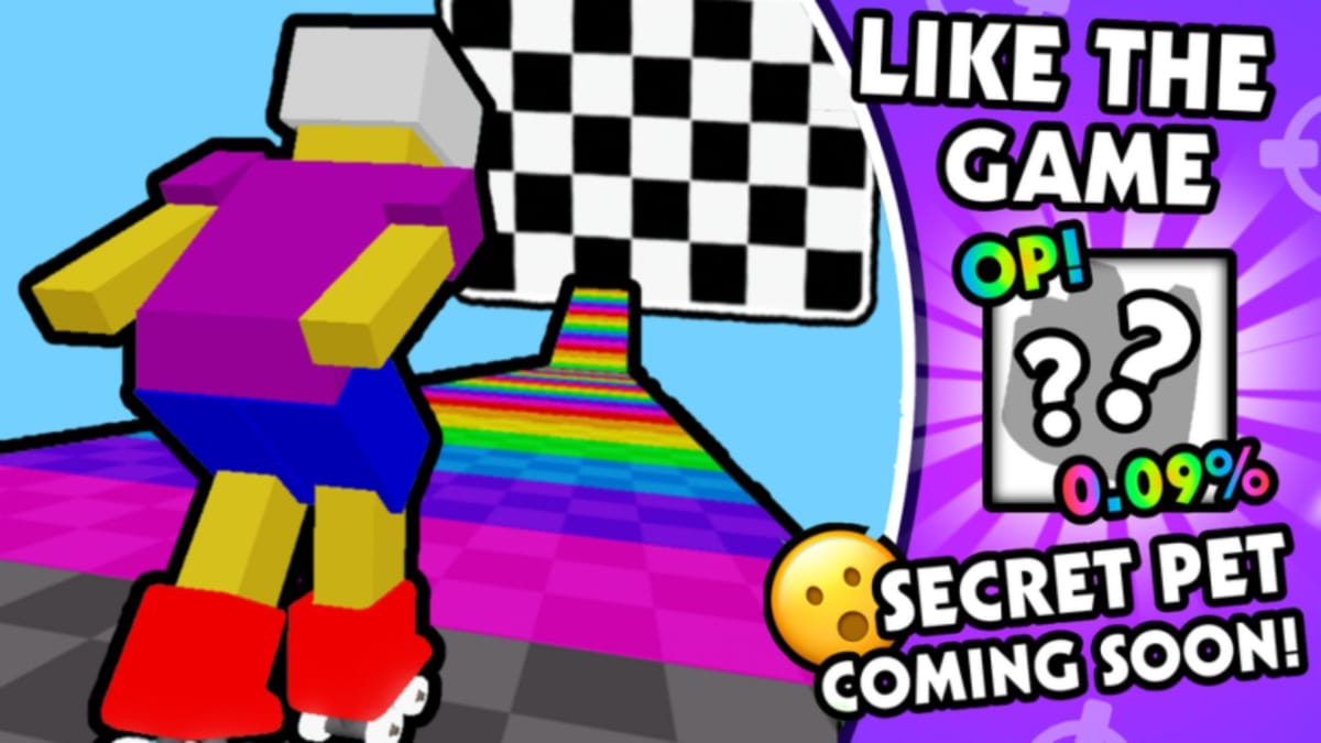 Roller Race Simulator codes