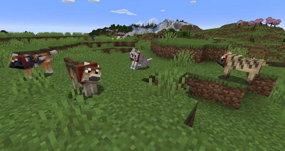 Minecraft wolf update: All wolf related features coming in 1.20.5