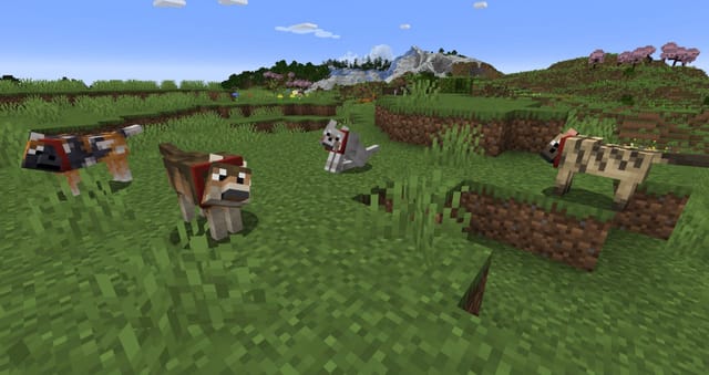 Minecraft wolf update: All wolf related features coming in 1.20.5