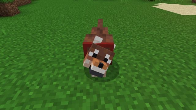 Minecraft now has millions of different wolf combinations