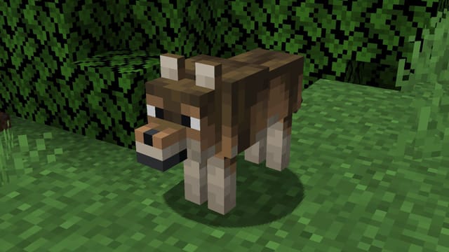 Minecraft 1.20.5 snapshot 24w10a patch notes: New wolf variants, bug ...