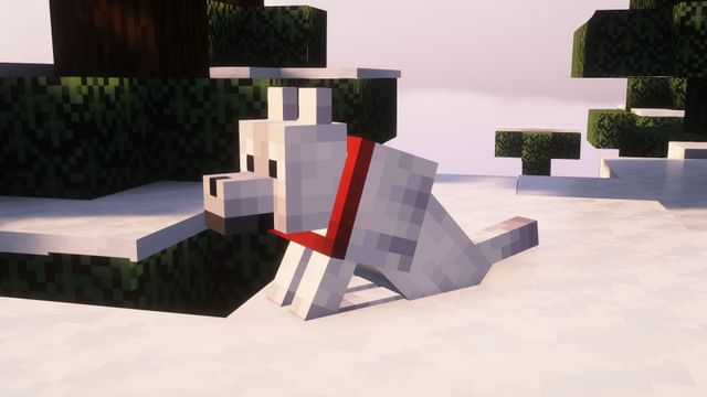 Which wolf variant is the rarest in Minecraft