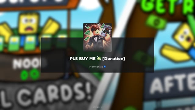 PLS Buy Me Codes (2024)