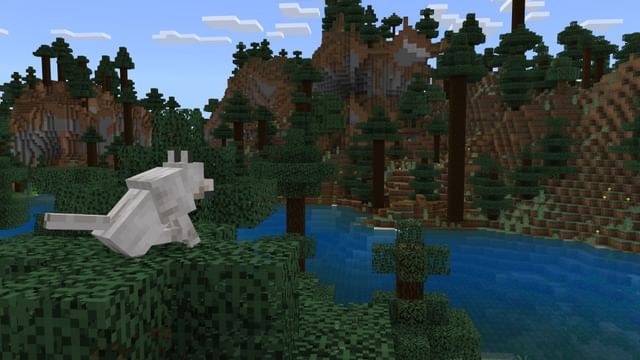 Minecraft Bedrock 1.20.70/71 update patch notes: Wolves health ...