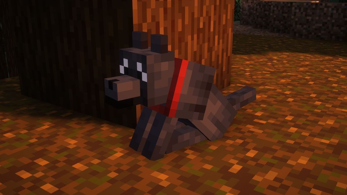 All Minecraft wolf variants and where to find them