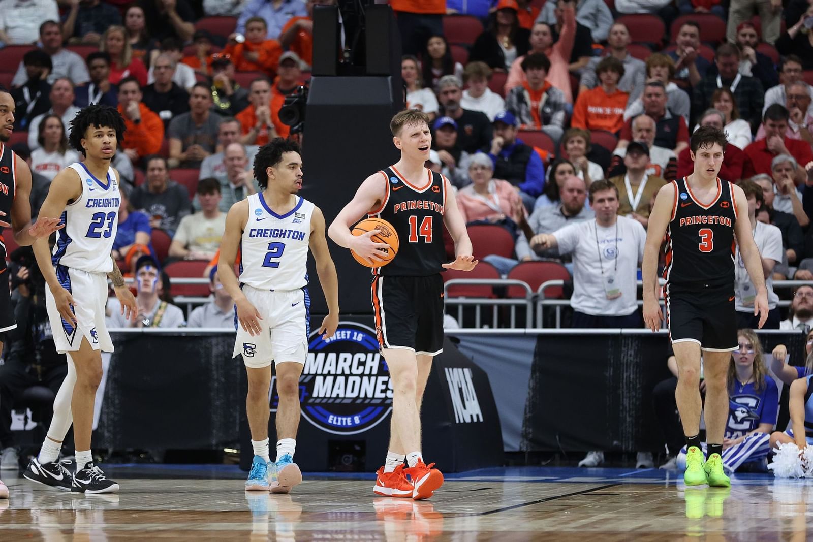 Who Are Matt Allocco's Parents? Age, Nationality & More