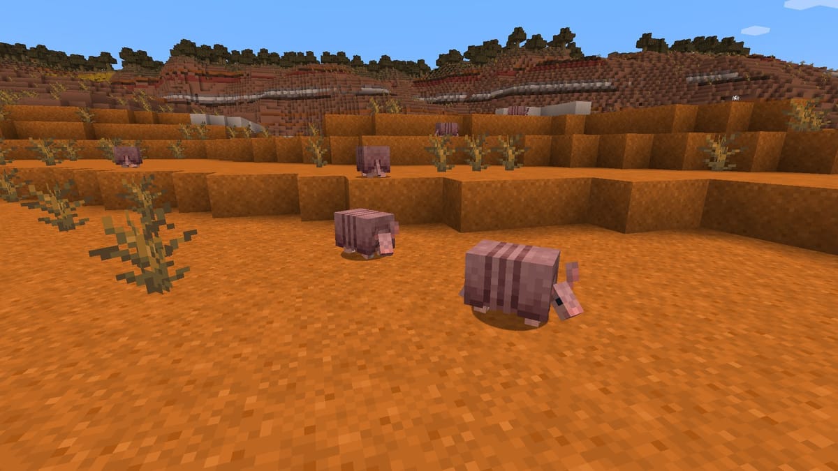 What does armadillo do in Minecraft?