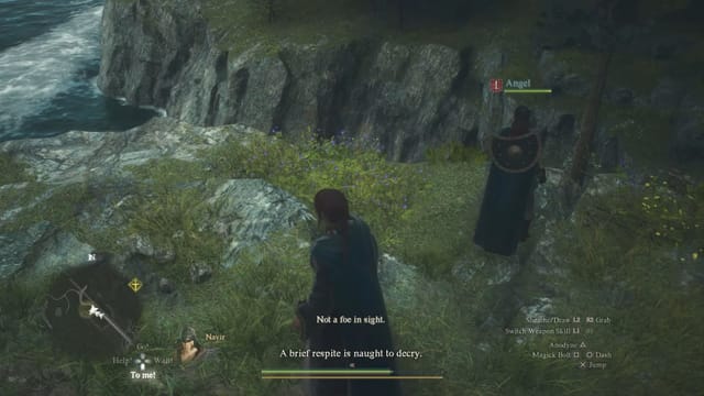 How to craft a bunch of flowers for Daphne in Dragon's Dogma 2