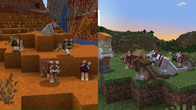 Minecraft Bedrock 1.20.80.21 Beta and Preview patch notes: New wolf ...