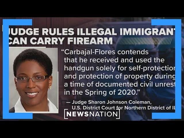 US Second Amendment explored as Illinois Judge Sharon Johnson Coleman ...