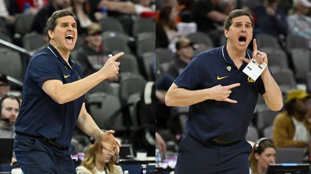 Mark Madsen Salary: How much does California coach earn with Golden Bears?