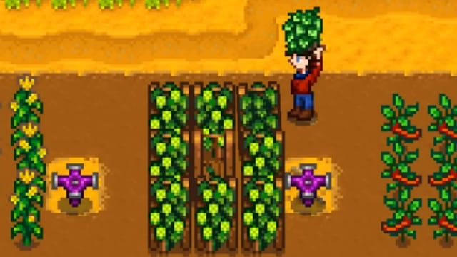 5 Best Summer Crops in Stardew Valley, ranked