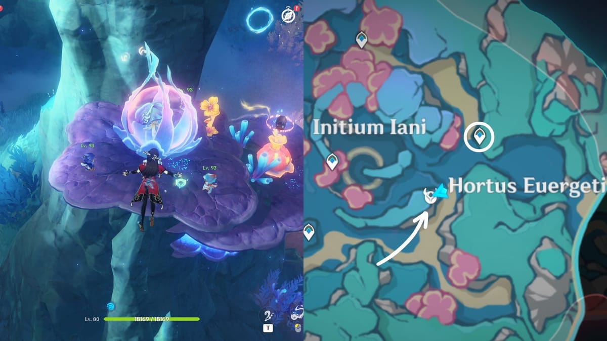 Genshin Impact Washer Octopus puzzle locations