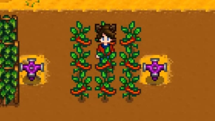 5 Best Summer Crops in Stardew Valley, ranked