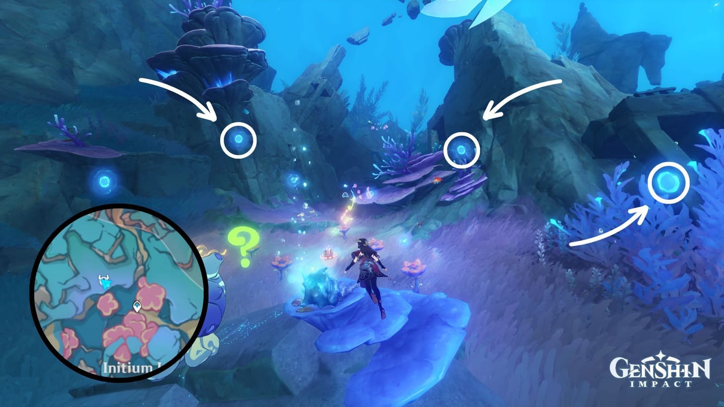 Genshin Impact Washer Octopus puzzle locations