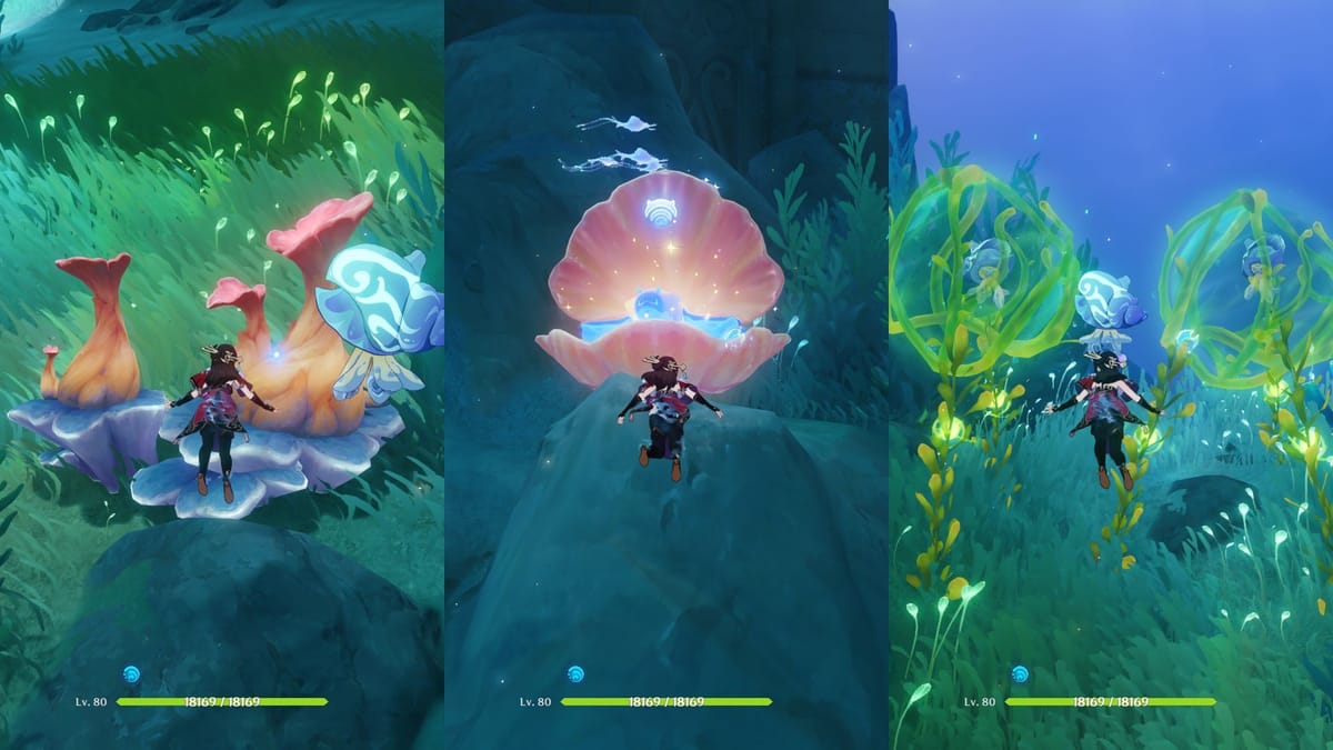 Genshin Impact Washer Octopus puzzle locations
