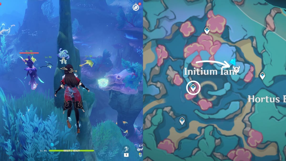Genshin Impact Washer Octopus puzzle locations