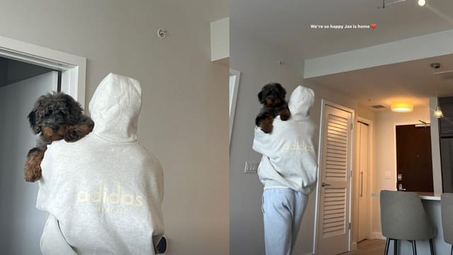 "We're so happy Jax is home" - Jackson Holliday's wife Chloe shares ...