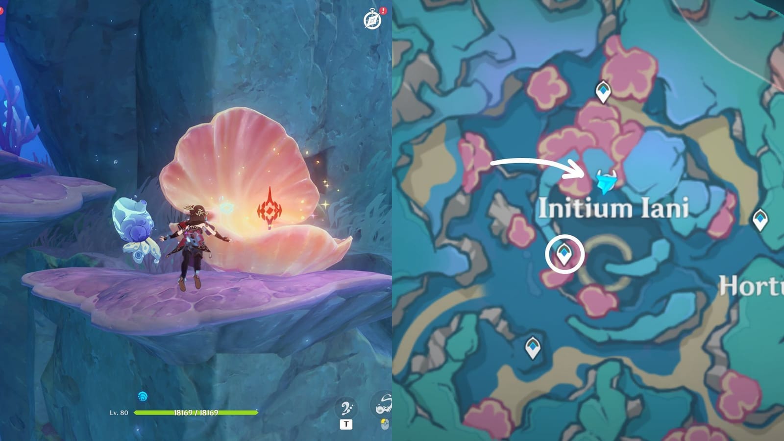 Genshin Impact Washer Octopus puzzle locations