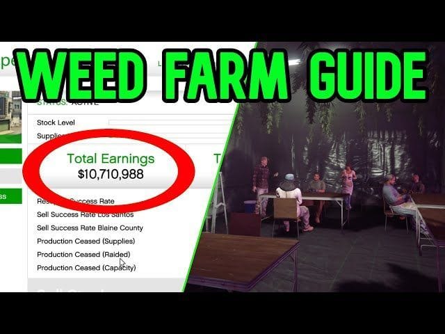 All Weed Farm locations in GTA Online in 2024