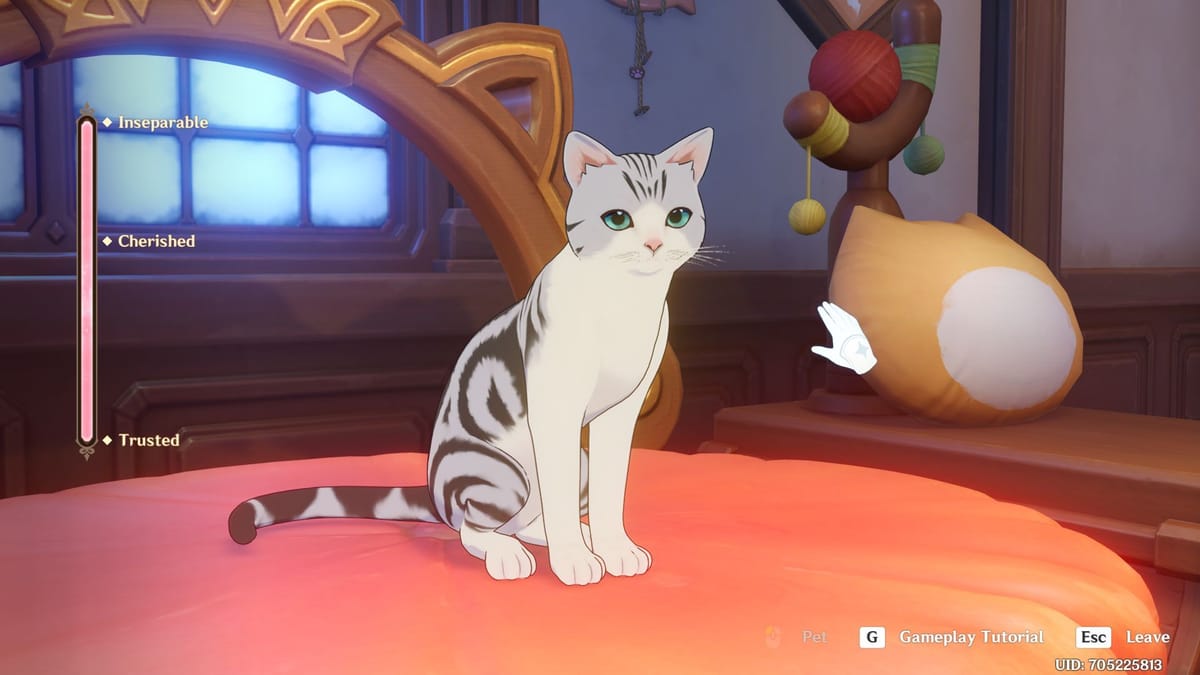 Genshin Impact Feline Fortress cat event: All 5 cat petting guide with spots