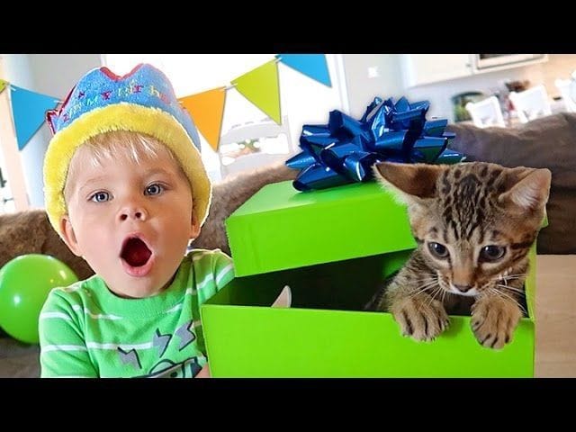 Finley Lanning's Profile, Net Worth, Age, Height, Relationships, FAQs