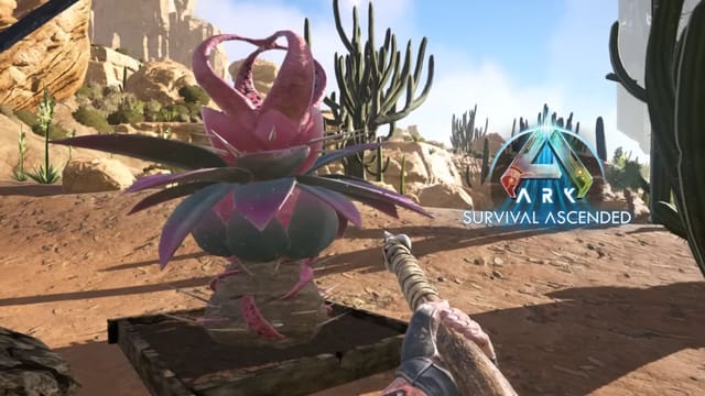 How to farm Plant Species Y in Ark Survival Ascended