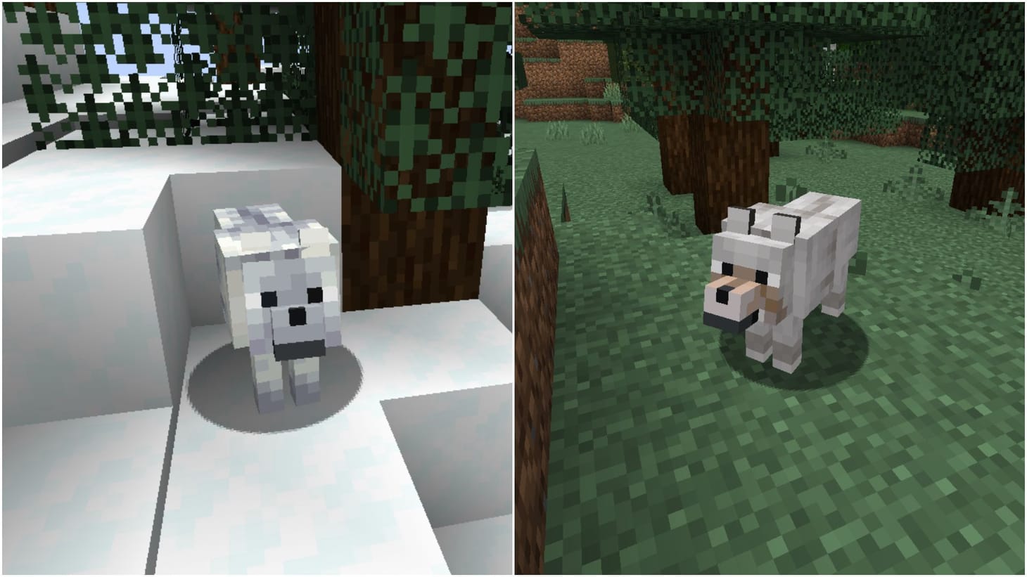 5 best Minecraft seeds for finding wolves