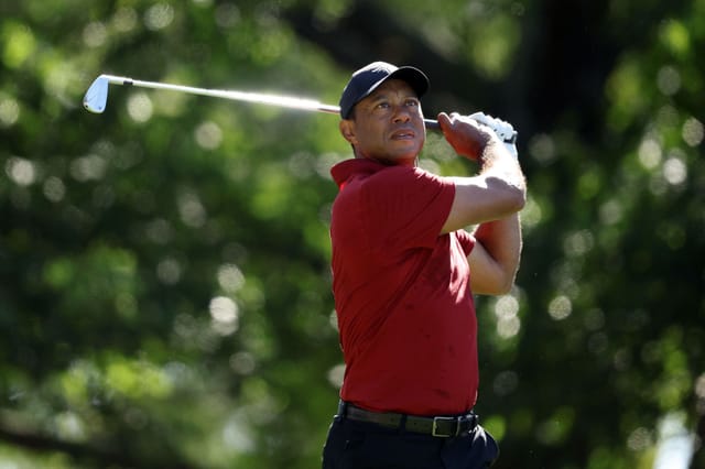 “He's shaking the tree” – Fans claim photo of Tiger Woods shaking Verne ...