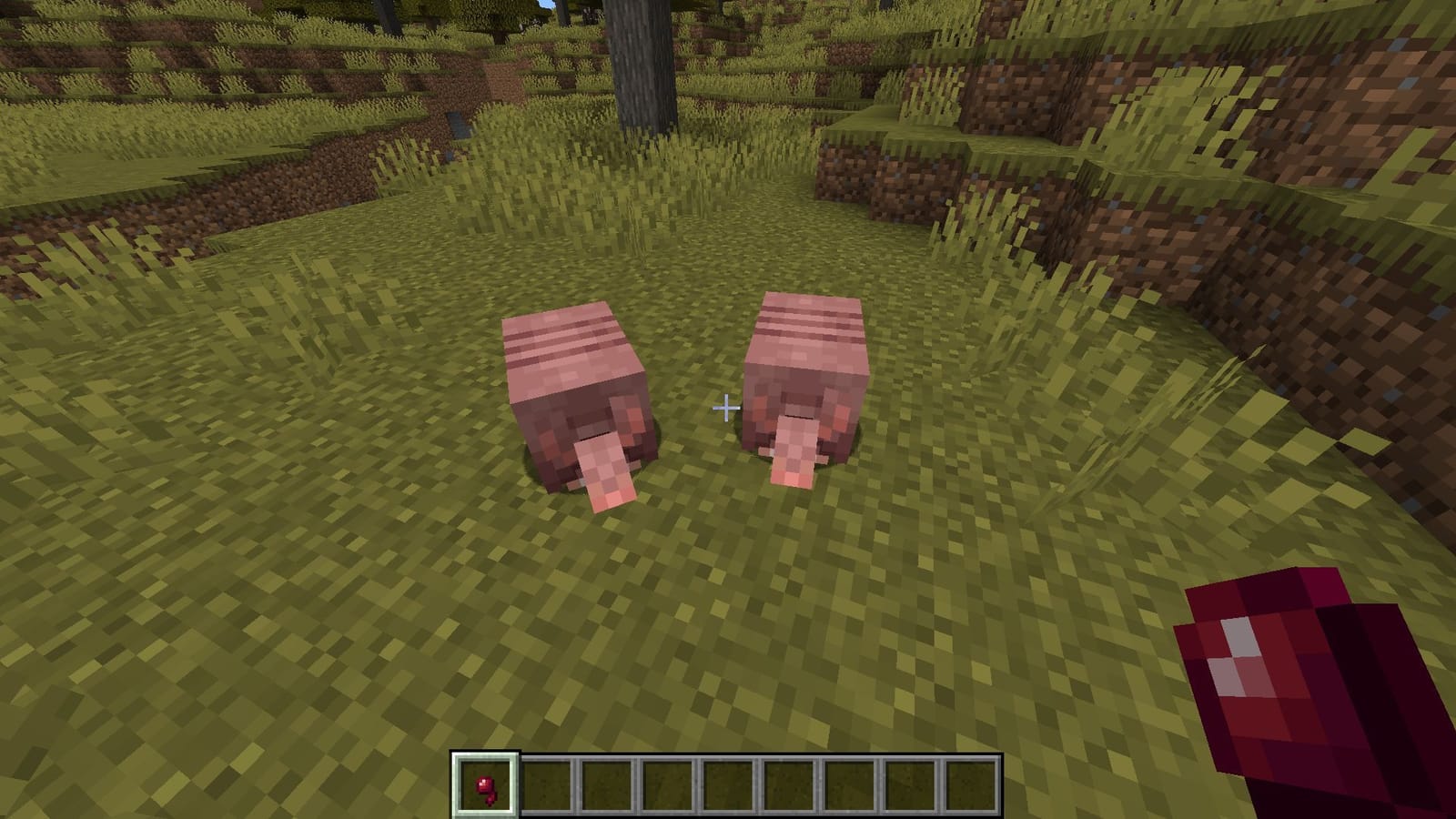 How to breed armadillos in Minecraft