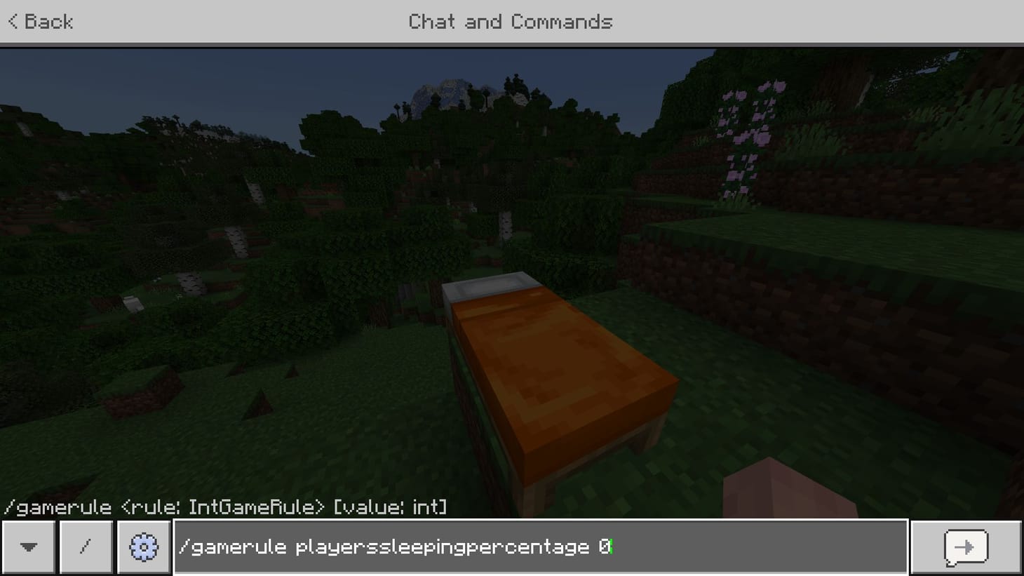 How to use One Player Sleep command in Minecraft Bedrock and Java