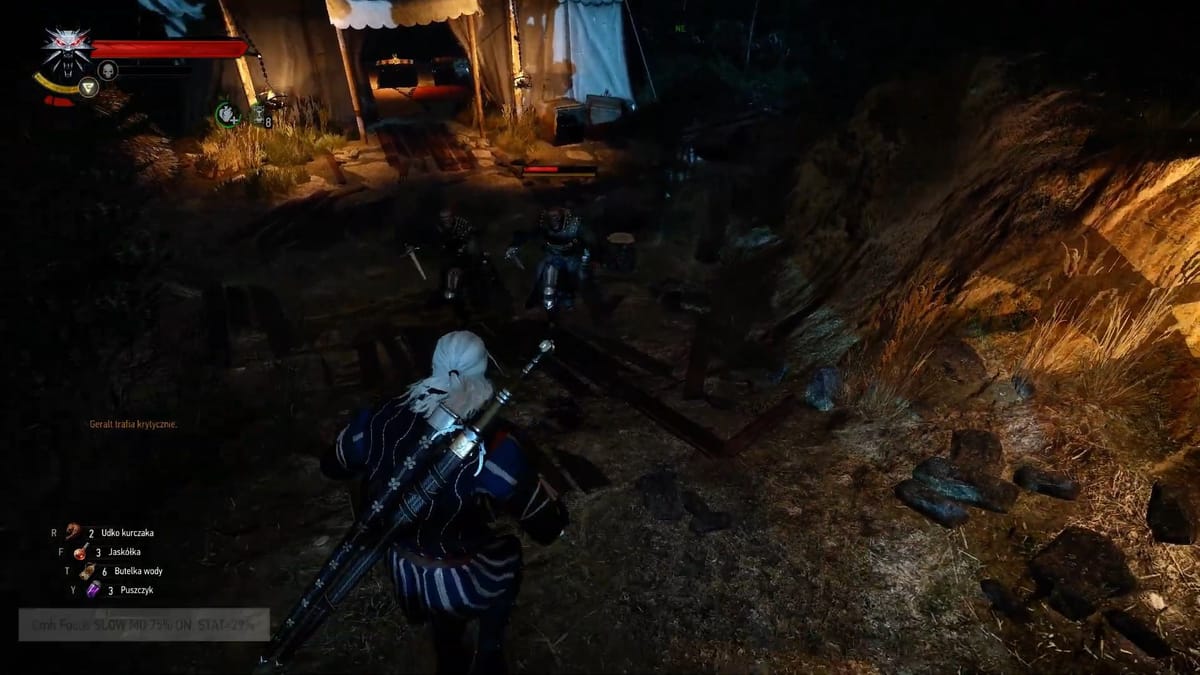 15 most useful Skills in The Witcher 3